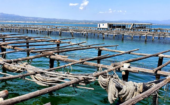 10 experiències en família per descobrir les Terres de l'Ebre
